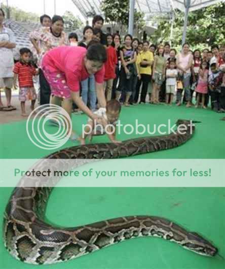 12-Foot Python Strangles Toddler | The Demon's Den