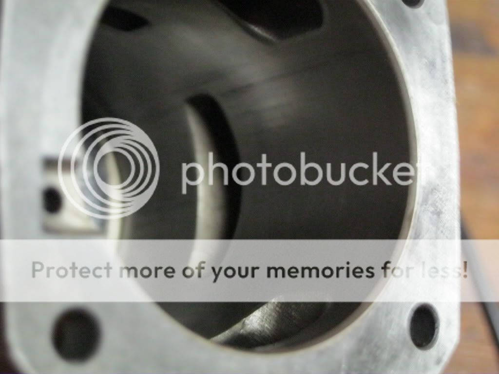 Husky 261 to 262XP Muffler questions | Arborist, Chainsaw & Tree Work Forum